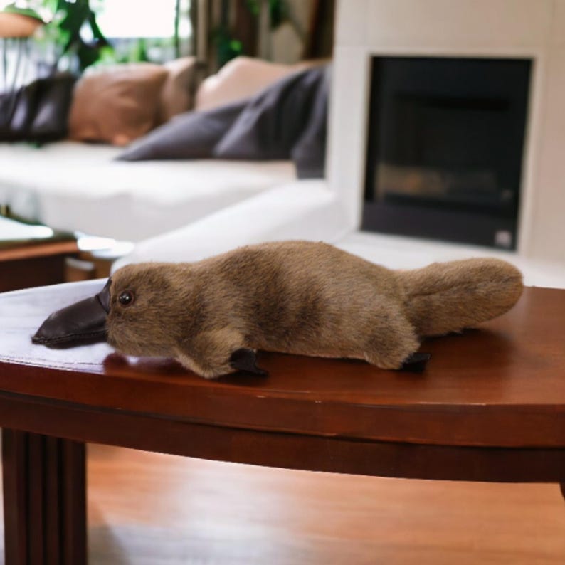 Cute Platypus Plush - Etsy