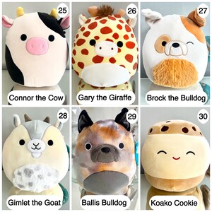 Graduation Squishmallow Personalized Plush 7.5, Unique Gift, Class of ...