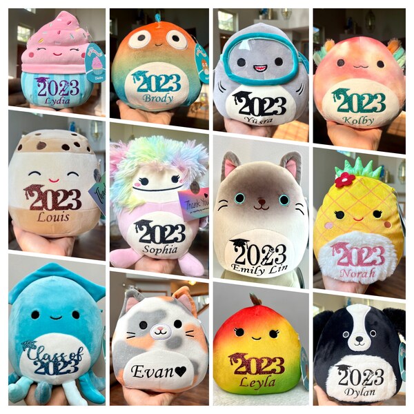 Squishmallow Class of 2023 - Etsy