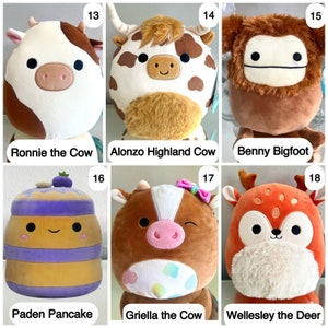 Personalized Graduation Squishmallows 7.5, Graduation Gift ...