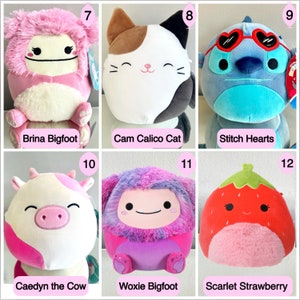 Personalized Graduation Squishmallows 7.5, Graduation Gift ...