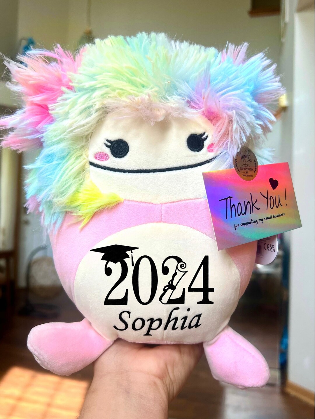 Personalized Graduation Squishmallows, Class of 2024, Graduation Gift ...