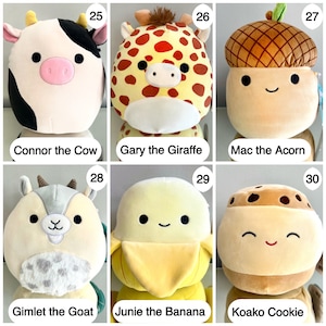 Personalized Graduation Squishmallows 7.5, Graduation Gift ...