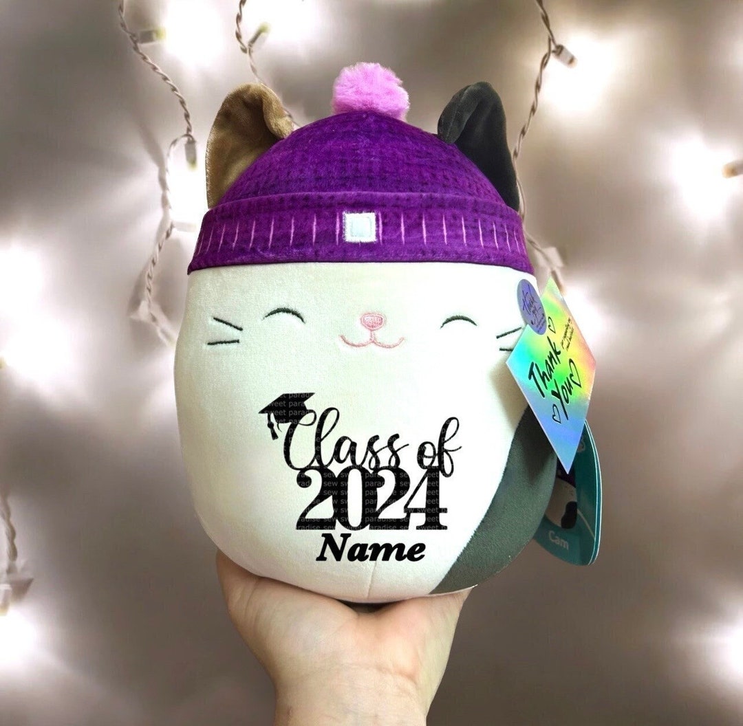 Graduation Squishmallow Personalized Plush 7.5, Unique Gift, Class of ...