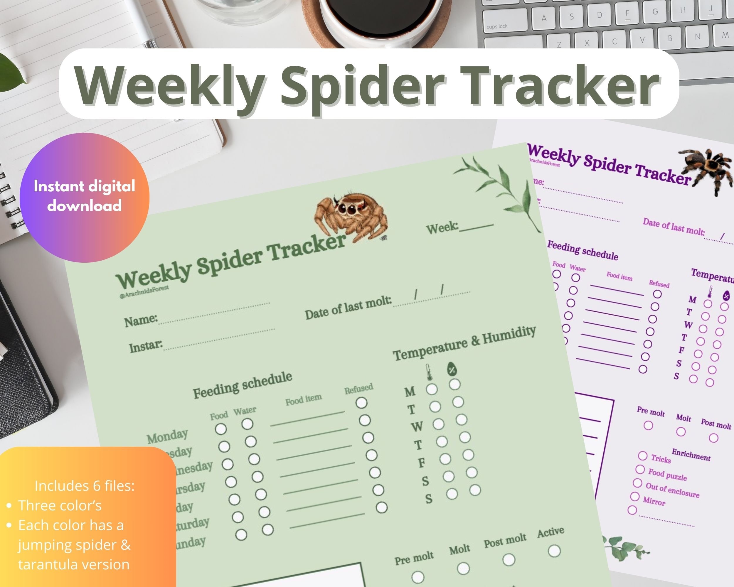Weekly Spider Tracker - Jumping Spider & Tarantula Versions *three ...