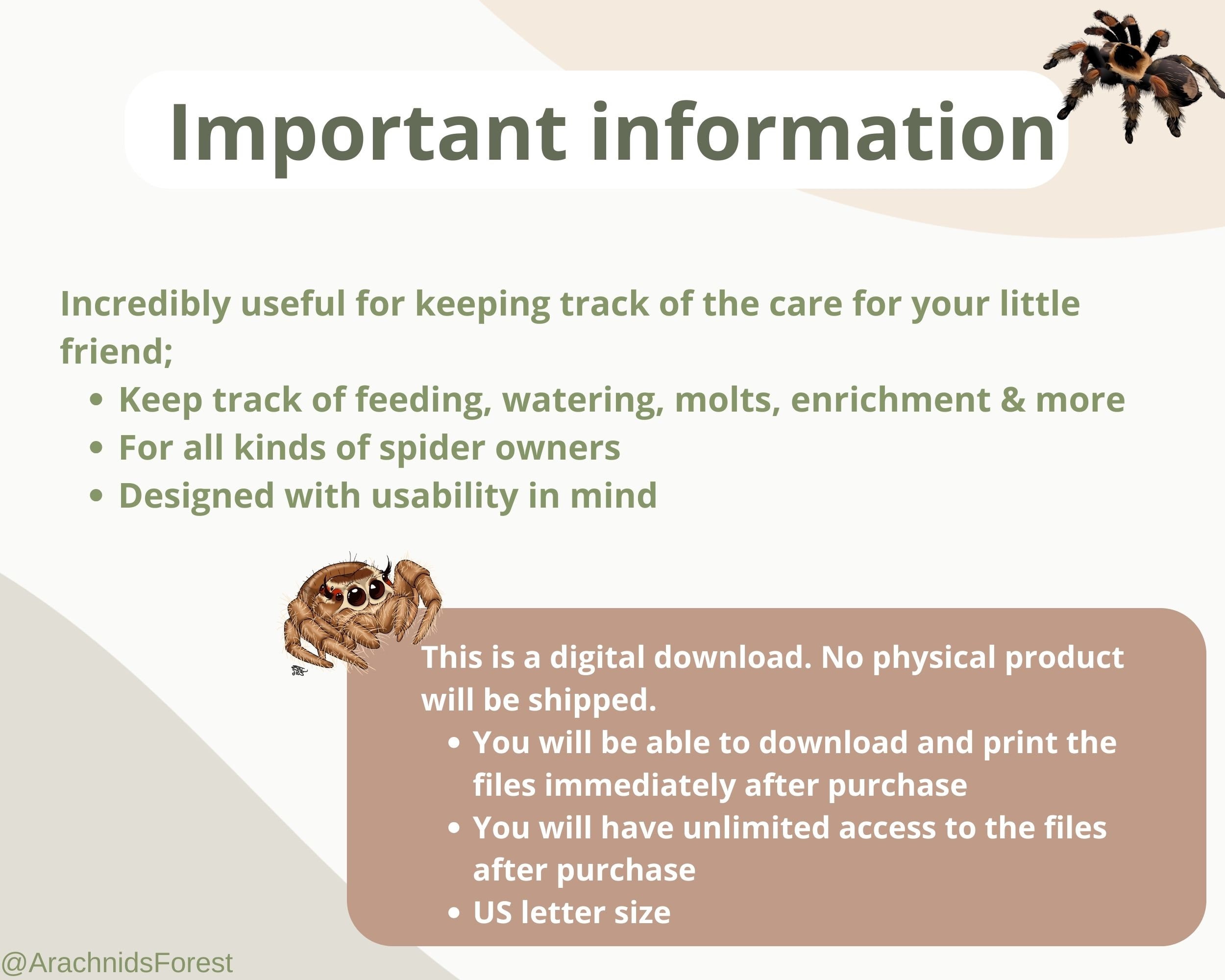 Weekly Spider Tracker - Jumping Spider & Tarantula Versions *three ...