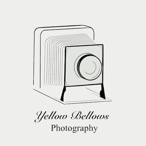 YellowBellowsPhoto - Etsy