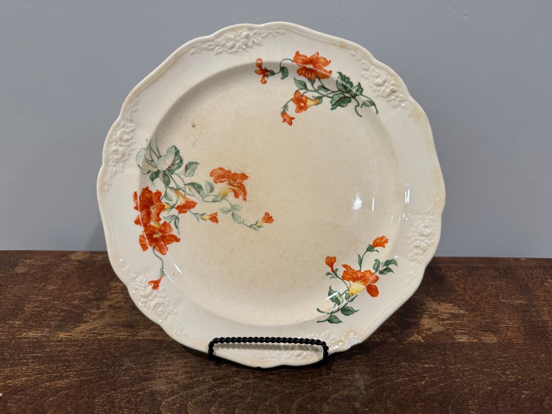 Vintage TST Taylor Smith Taylor Floral 9.5” Dinner Plate - Etsy