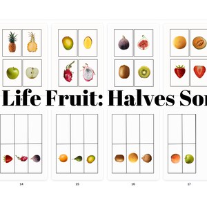 Real Life Fruit: Halves Matching Activity - Etsy
