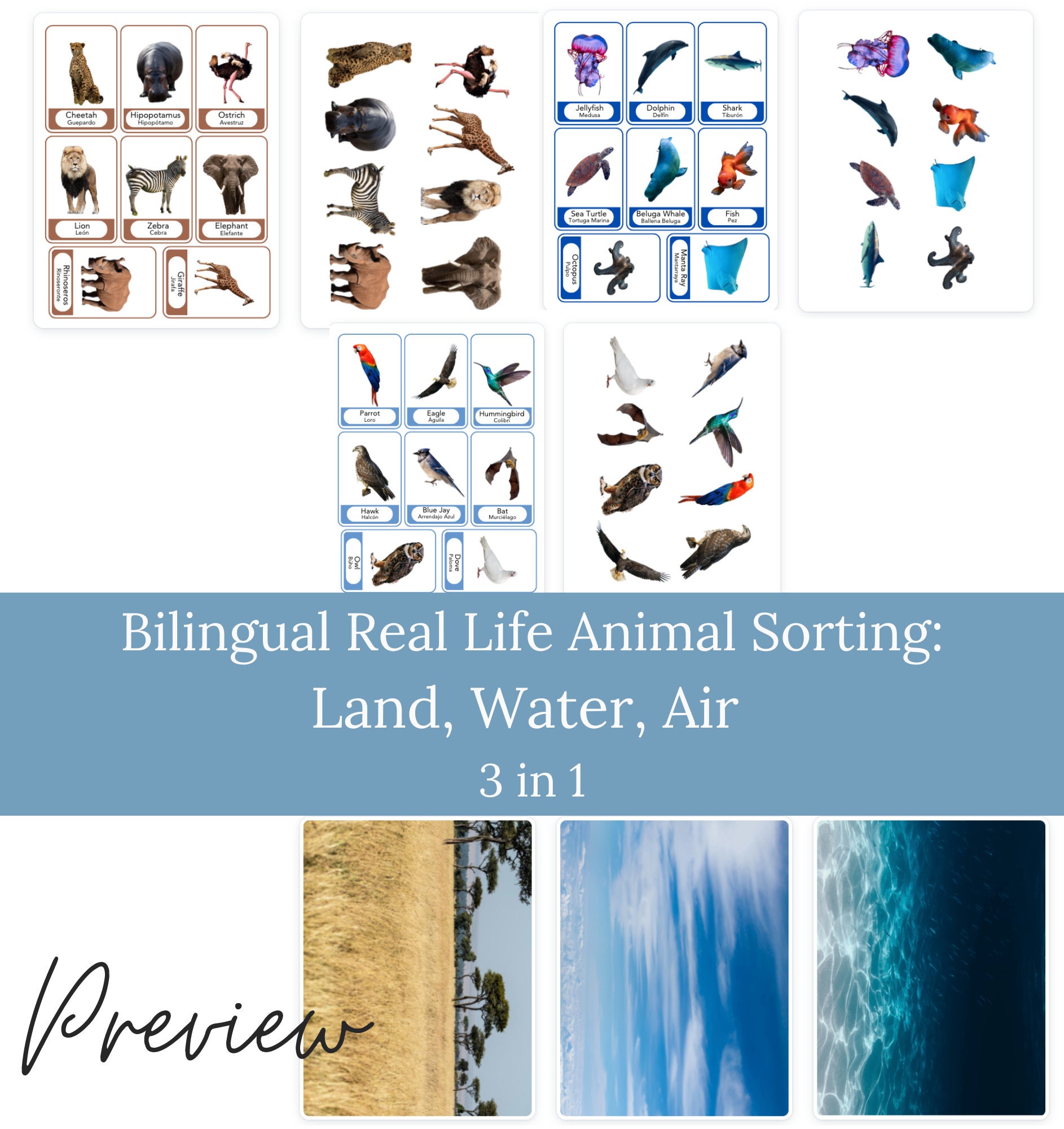 Bilingual Real Life Animal Habitat Sorting - Etsy