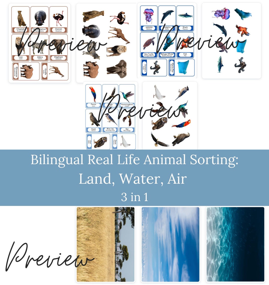 Bilingual Real Life- Animal Habitat Sorting - Etsy