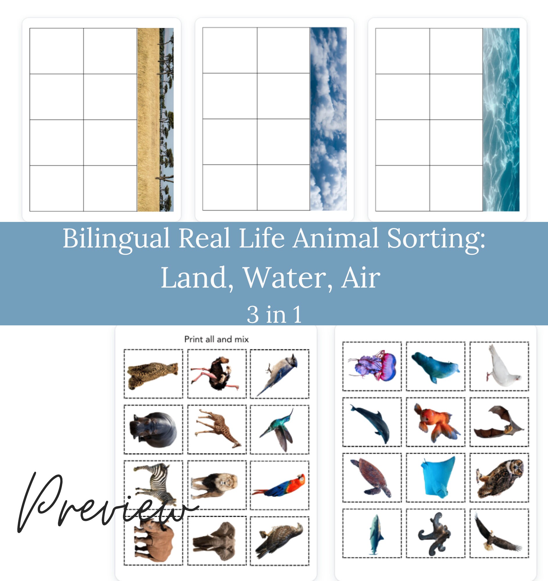Bilingual Real Life Animal Habitat Sorting - Etsy