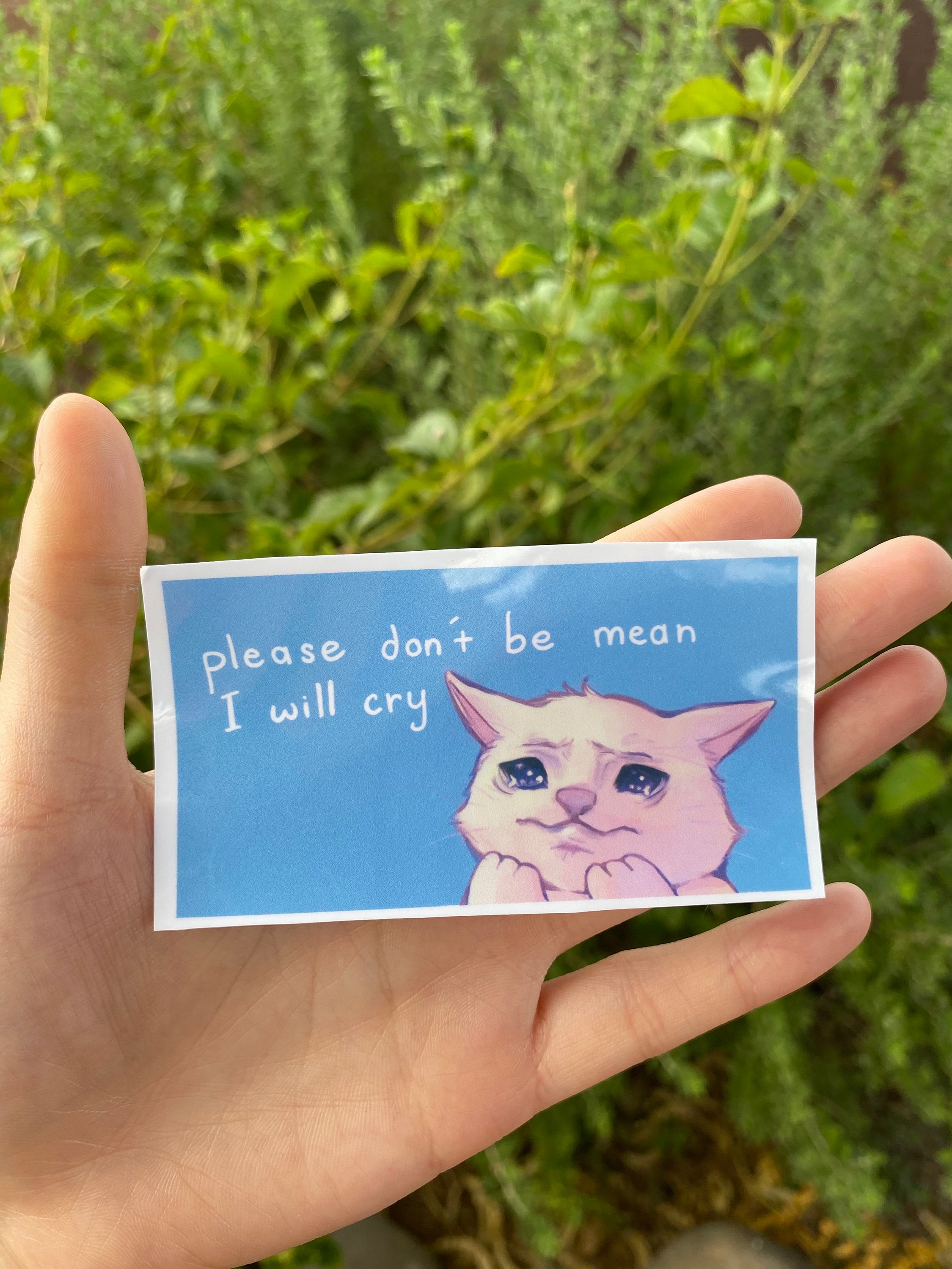 Crying Please Meme