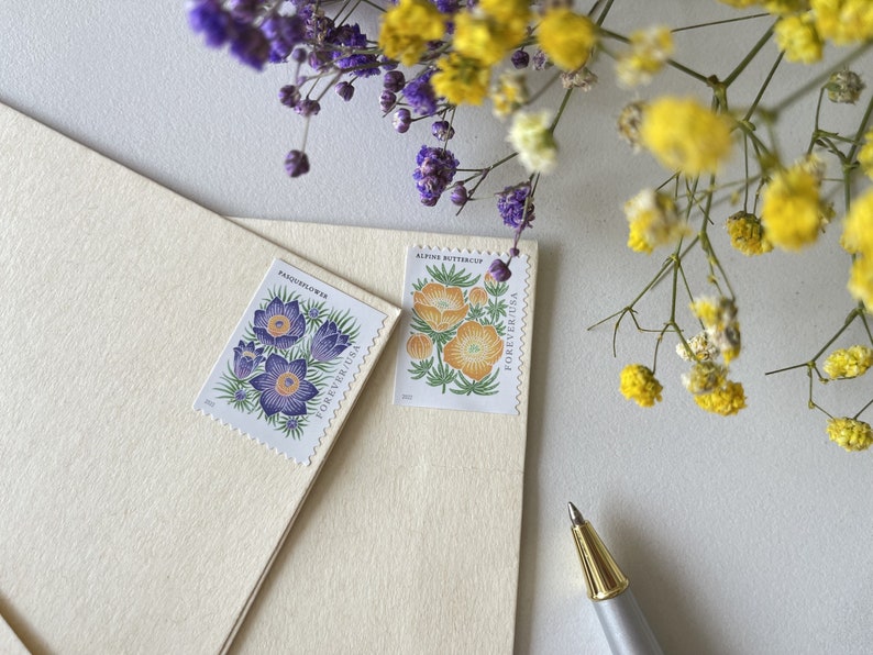 100 Unused Mountain Plants Forever First Class Flowers Wedding - Etsy