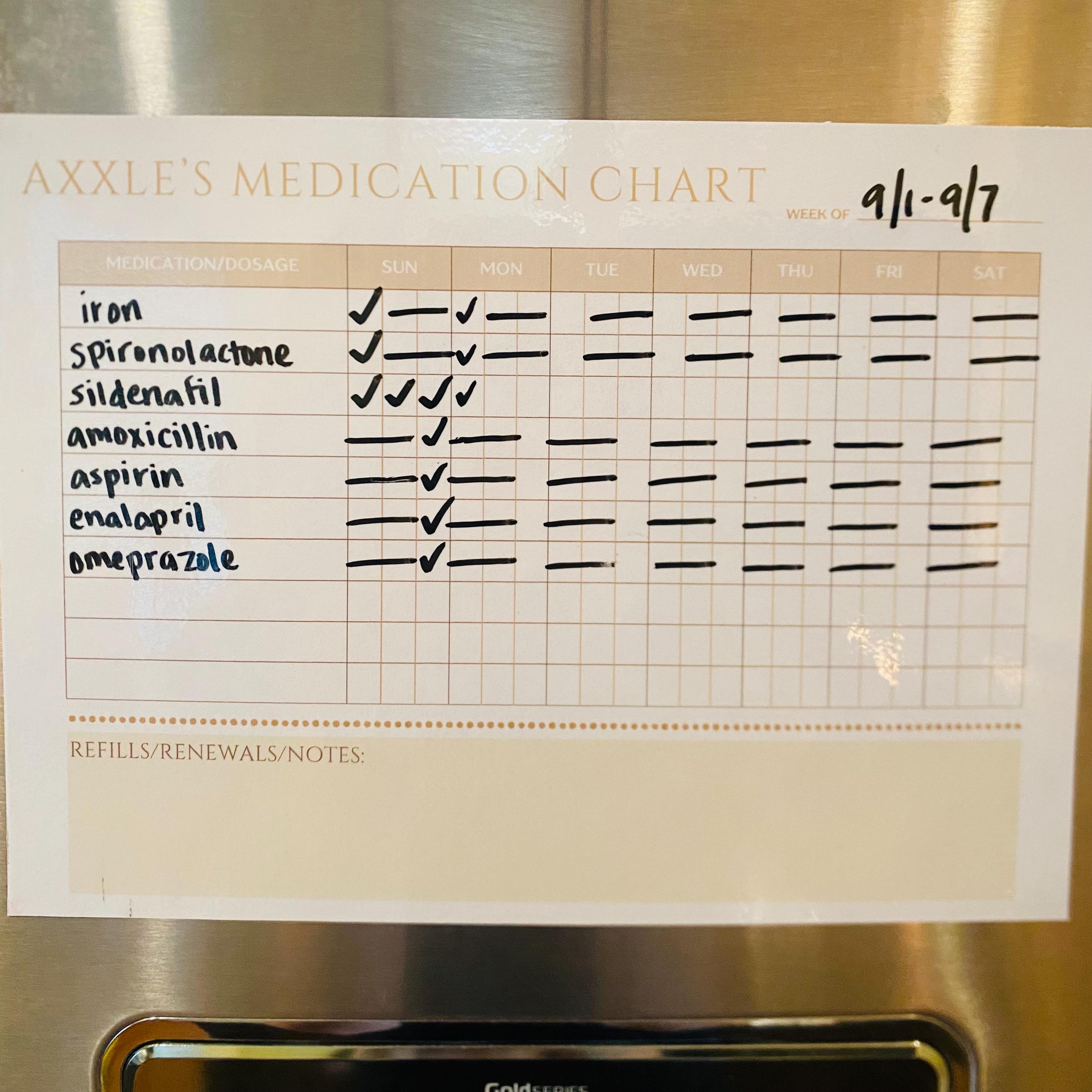 Magnetic Medication Chart, Personalized, Dry Erase - Etsy
