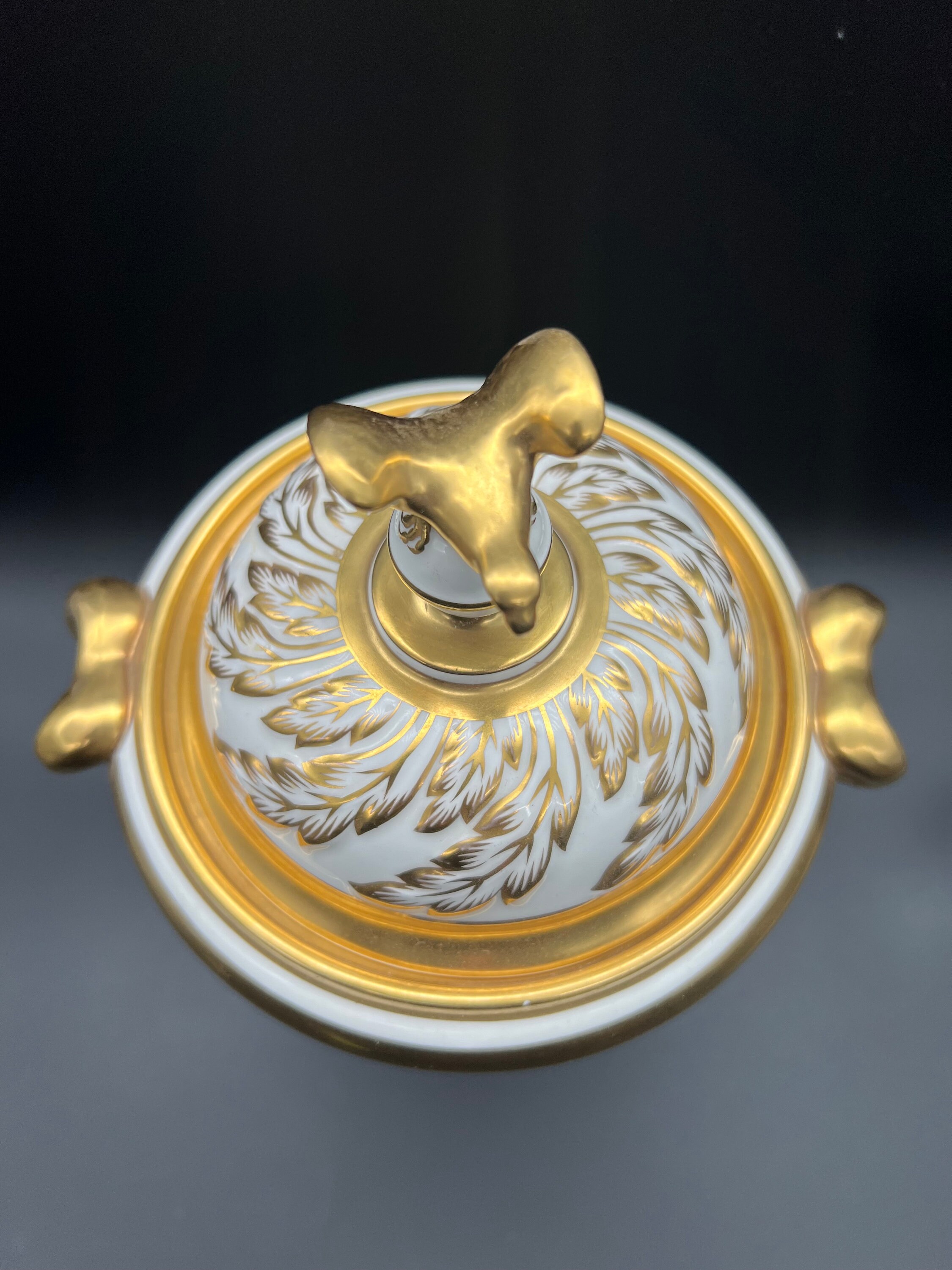 Vintage Limited Edition Coalport Bone China Amphora, Lid Vase or Urn . Gold Painted Accents - Etsy