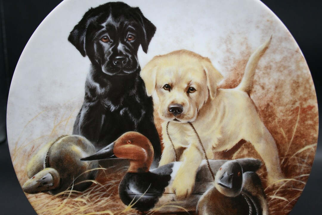 Vintage Collector's Plate - the Perfect Set Labrador Retrievers - Etsy