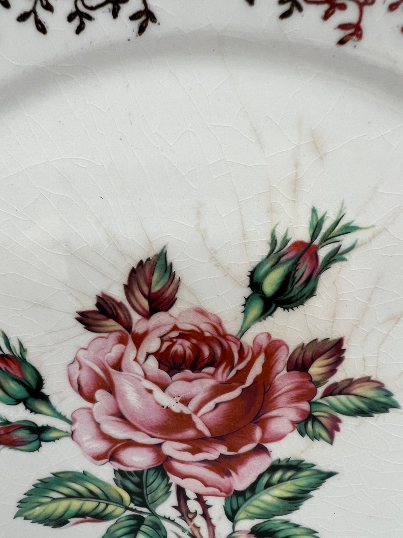 Georgian China Cornish Rose 22KT Gold Accents Dinner Plate - Etsy