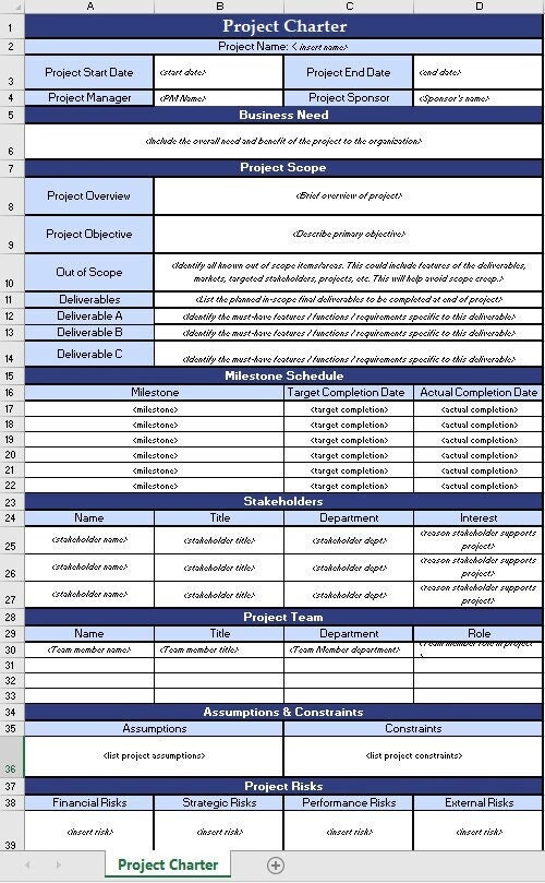 Project Charter Template in Excel - Etsy