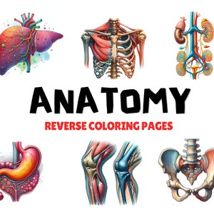 Anatomy Reverse Coloring Pages, Anatomy Reverse Coloring Book, Human ...
