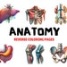 Anatomy Reverse Coloring Pages, Anatomy Reverse Coloring Book, Human ...