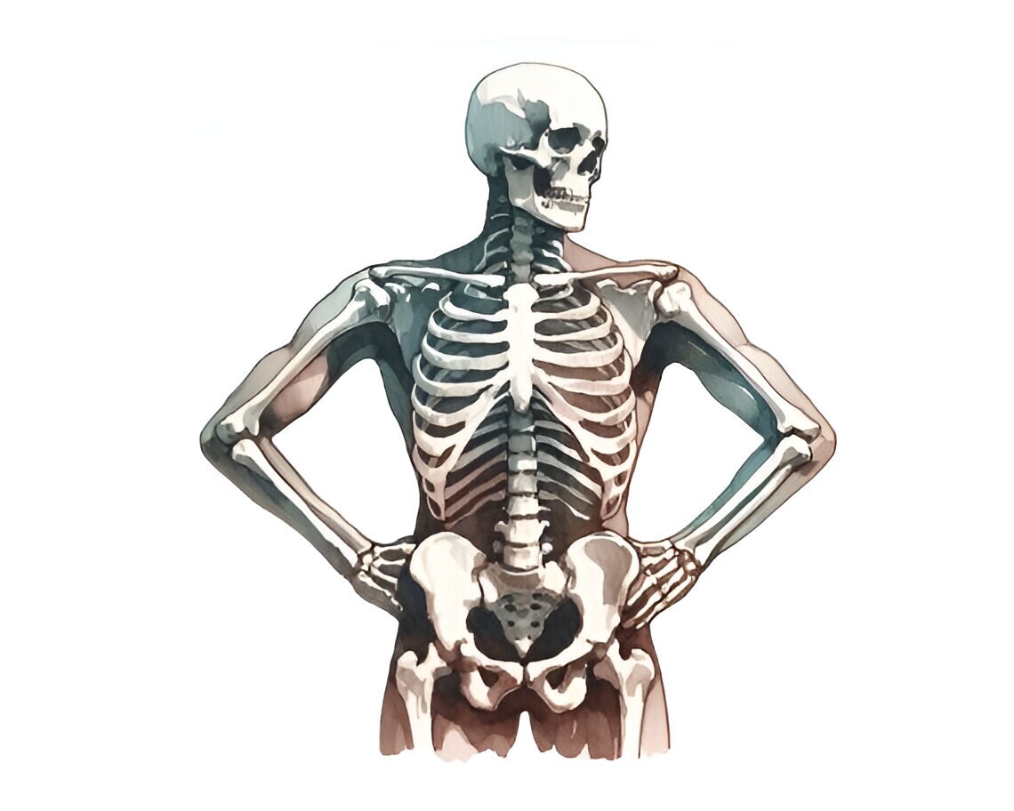 Anatomy Reverse Coloring Pages, Anatomy Reverse Coloring Book, Human ...