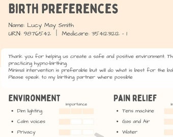Birth Plan - Etsy