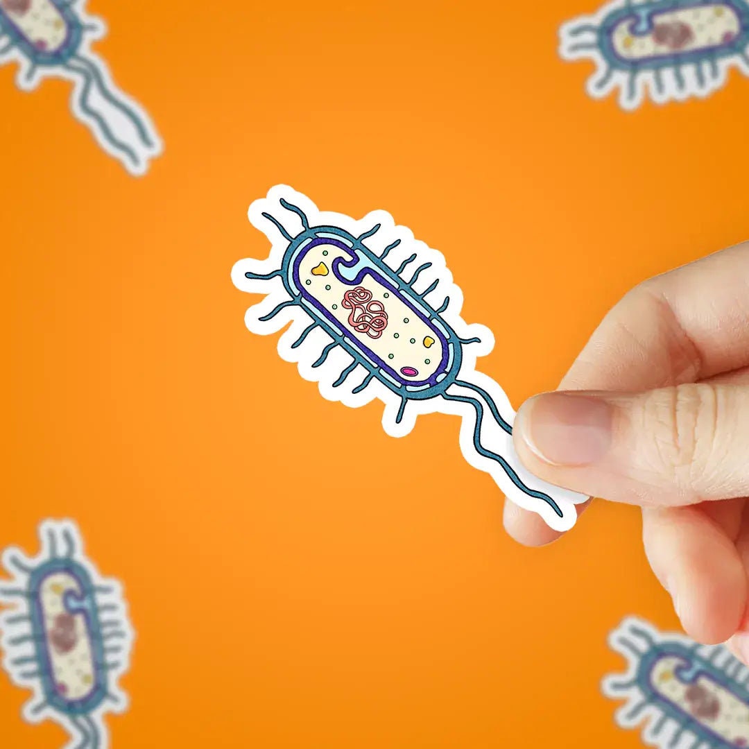 Bacteria Cell Sticker, Water Bottle Sticker, Learning, Biology, Science ...