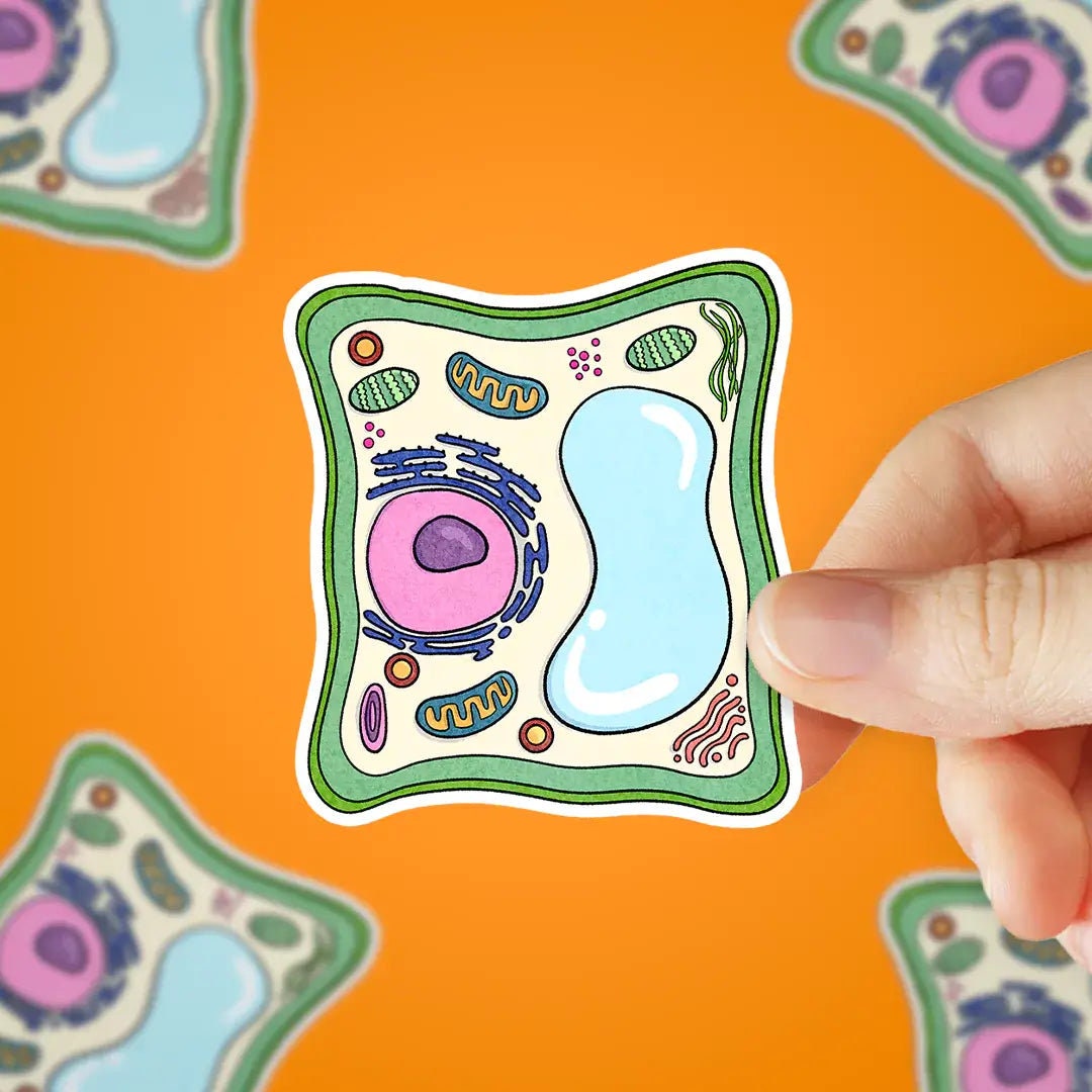 Plant Cell Sticker Biology, Plants, Nature, Science, Gift for Teacher ...