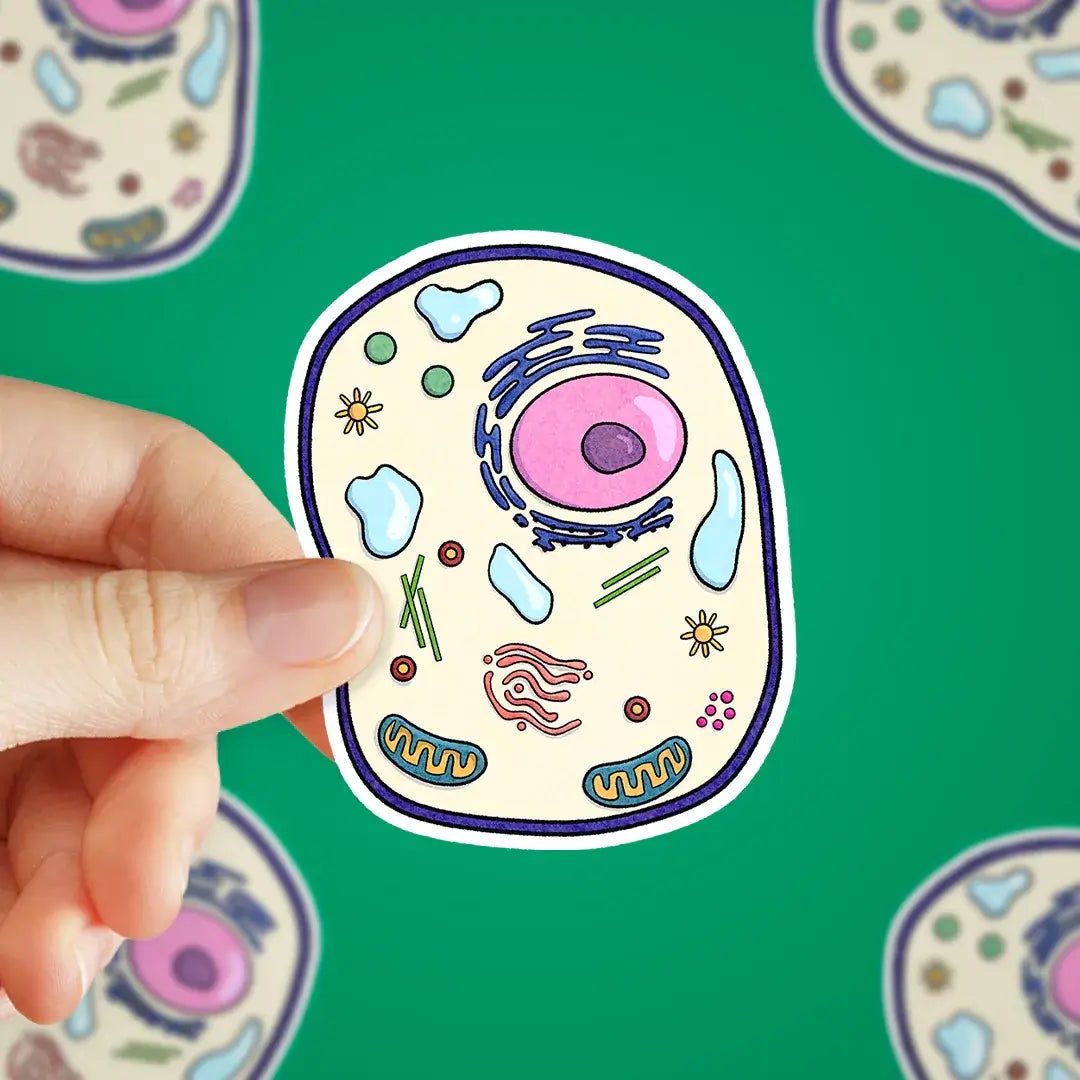 Animal Cell Sticker, Biology, Animal, Science, Gift for Teacher ...