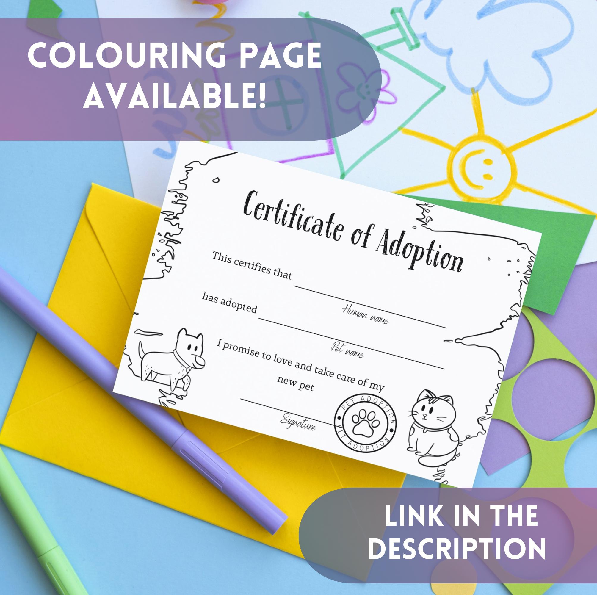 Pet Adoption Certificate for Kids Fun Activity With Pet Cute Room Decor ...