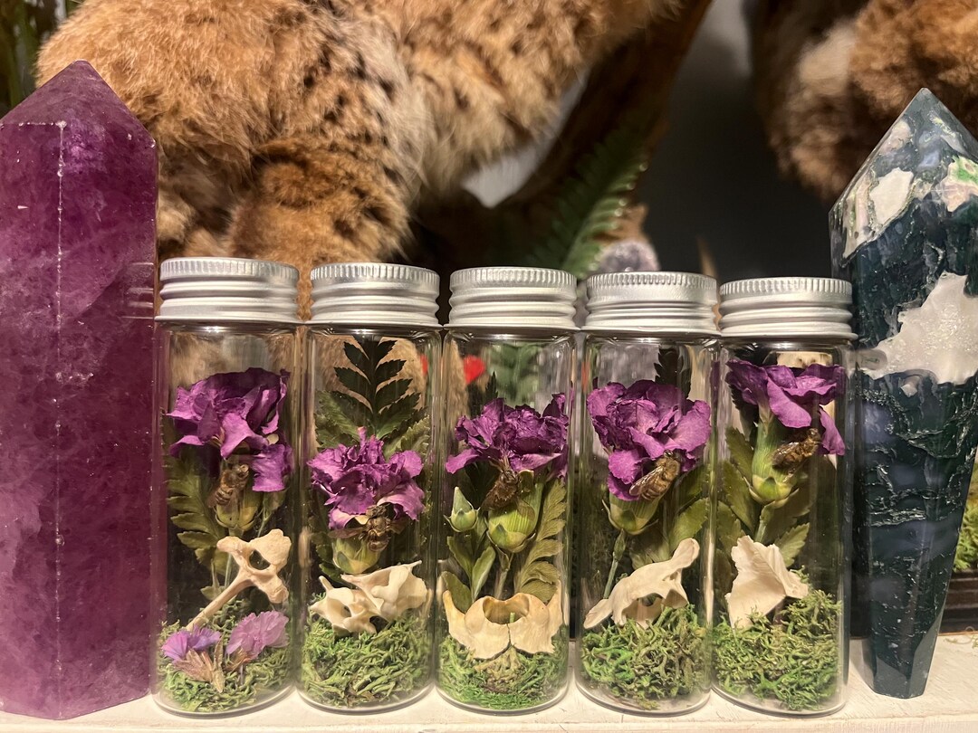 Bone & Bee Oddity Curiosity Vial, Decor, Oddities, Jar - Etsy