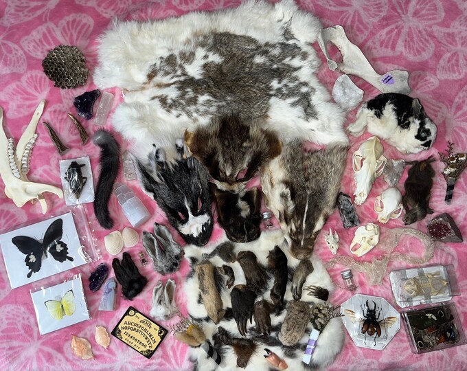 Small Oddities Mystery Box - Etsy