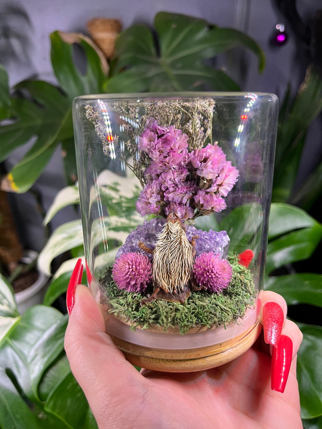 Mummified Baby Hedgehog Glass Dome Display - Etsy