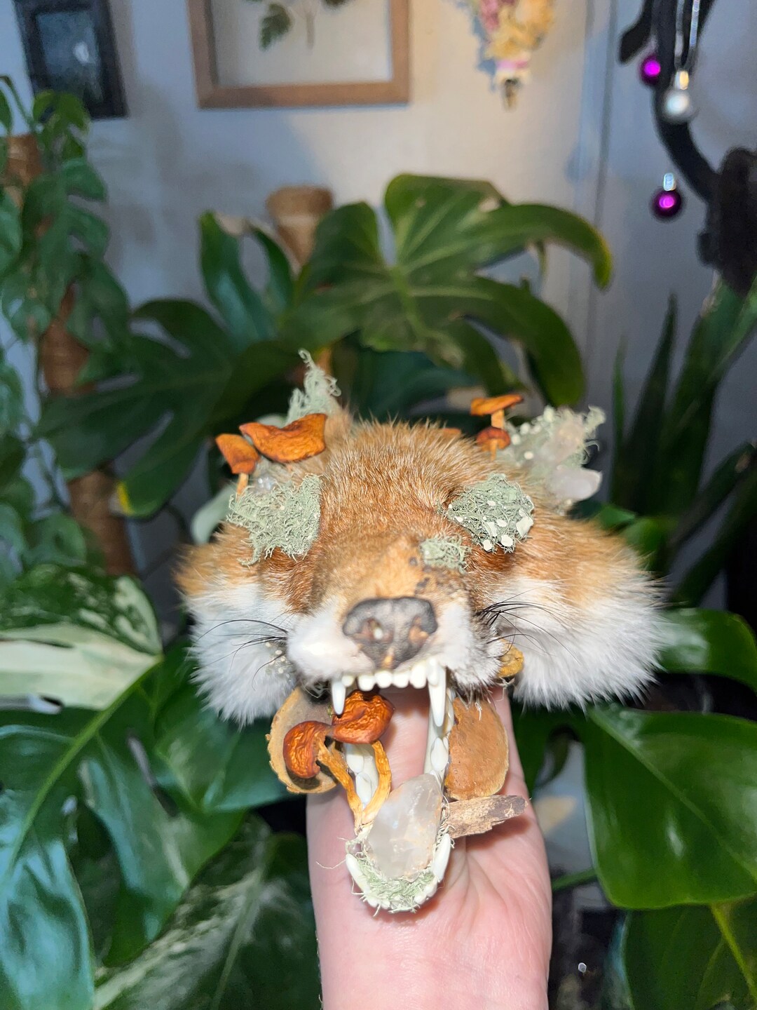 Zombie Fox Taxidermy, Red Fox Face & Skull Taxidermy With Real Crystals ...