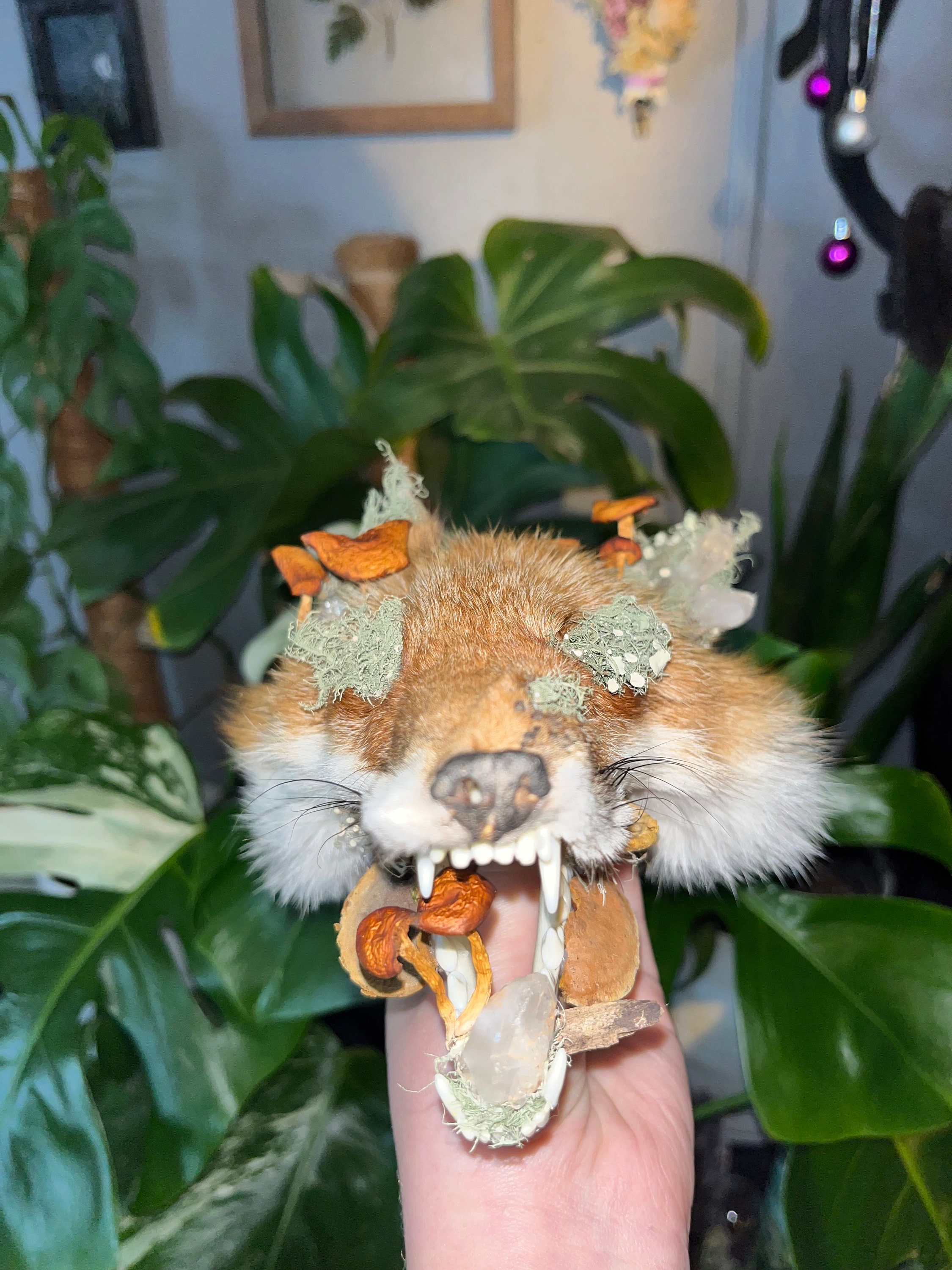 Zombie Fox Taxidermy, Red Fox Face & Skull Taxidermy With Real Crystals ...