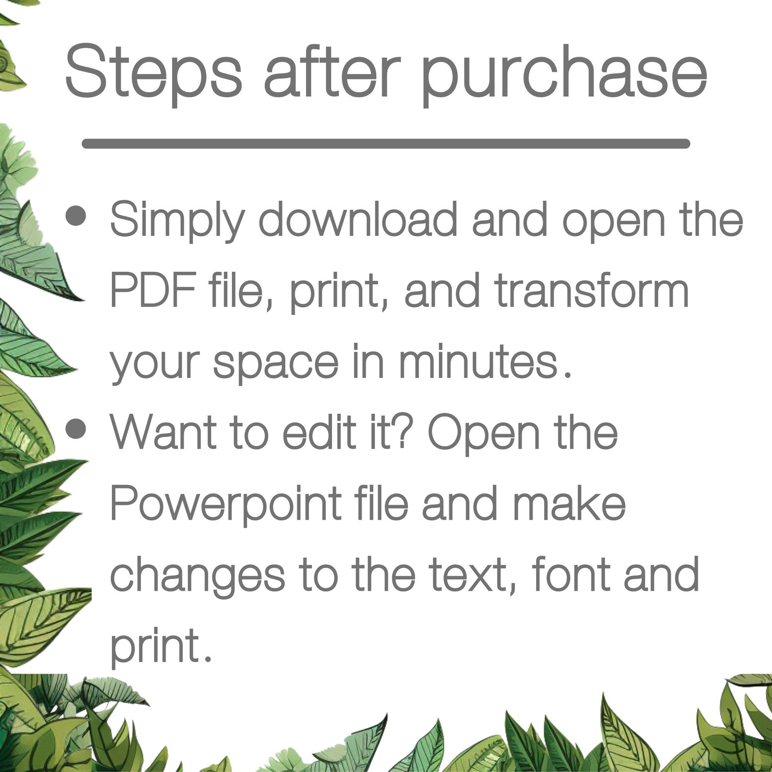Jungle Classroom Theme | Prepositions | Learning Positions With ...