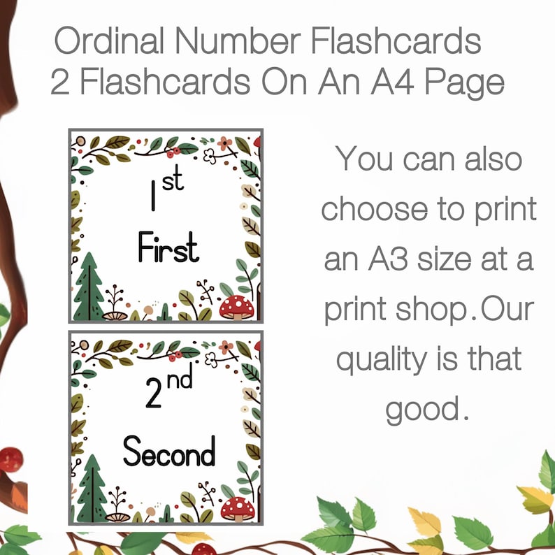 Owl Theme Classroom | Ordinal Numbers Poster | Editable Flashcards ...