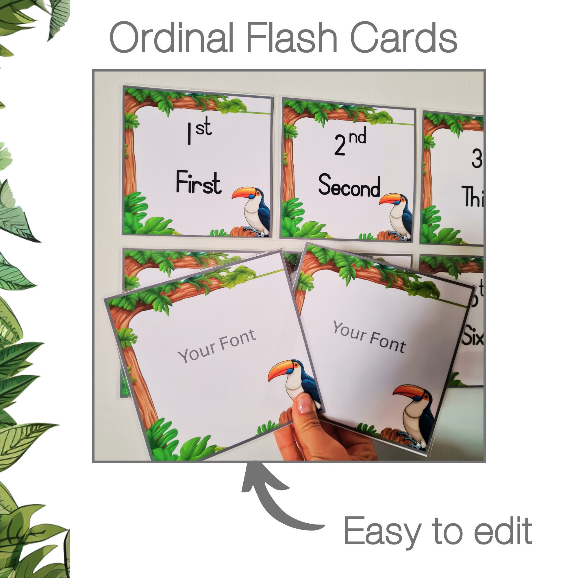 Jungle Classroom Theme | Ordinal Numbers Poster | Editable Flashcards ...