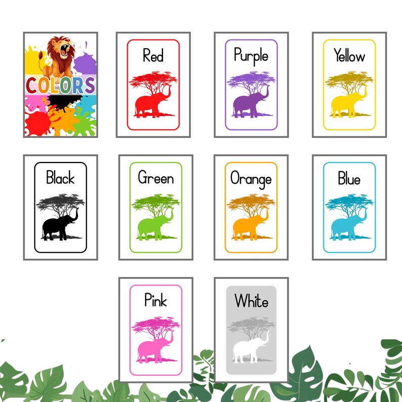 Safari Classroom Theme | Color Flashcards | Color Recognition ...