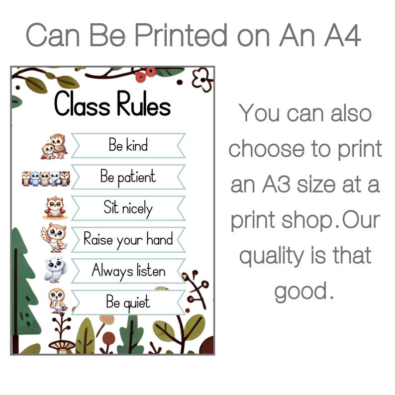 Owl Theme Classroom Rules Posters Printable - Class Rules Posters for ...