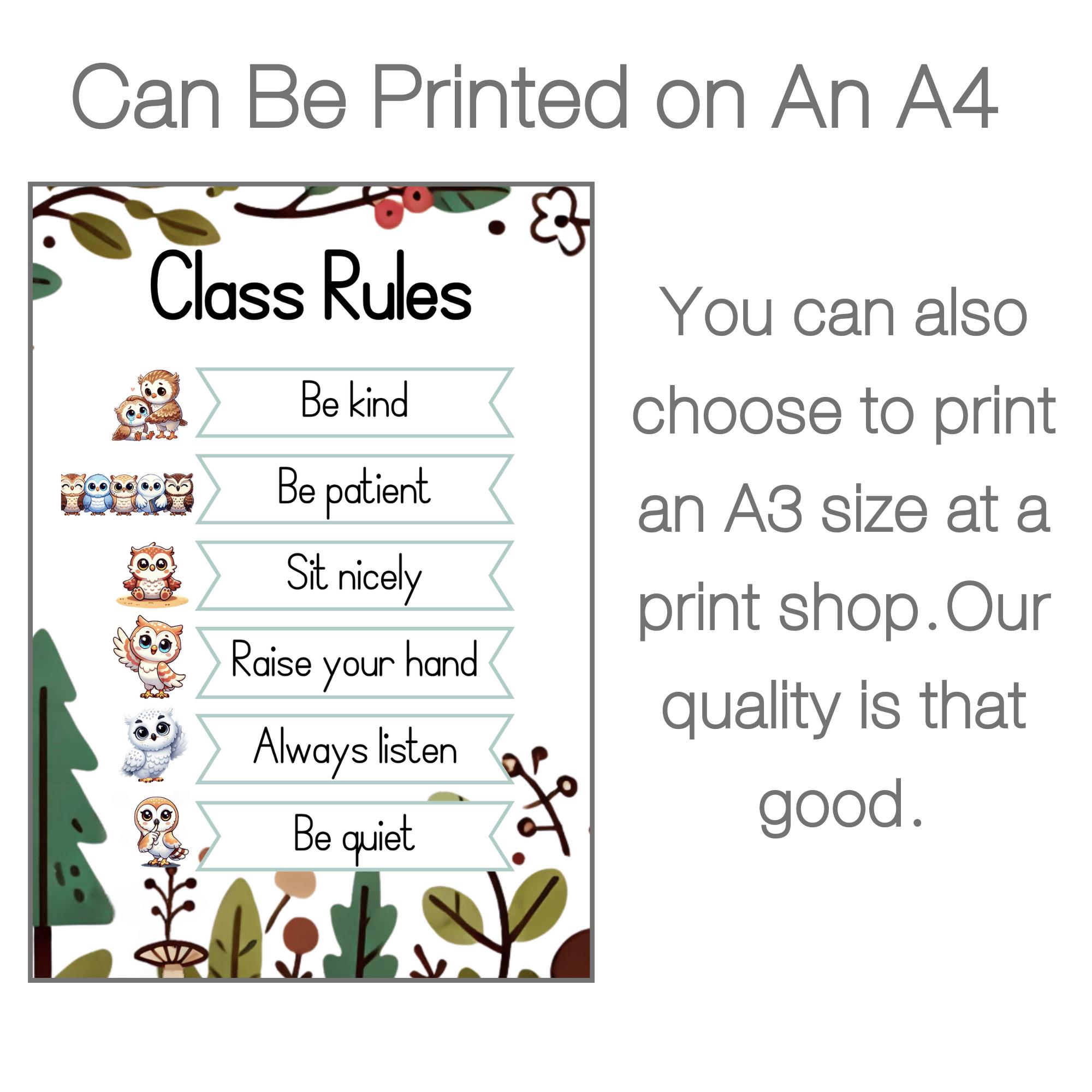Owl Theme Classroom Rules Posters Printable - Class Rules Posters for ...