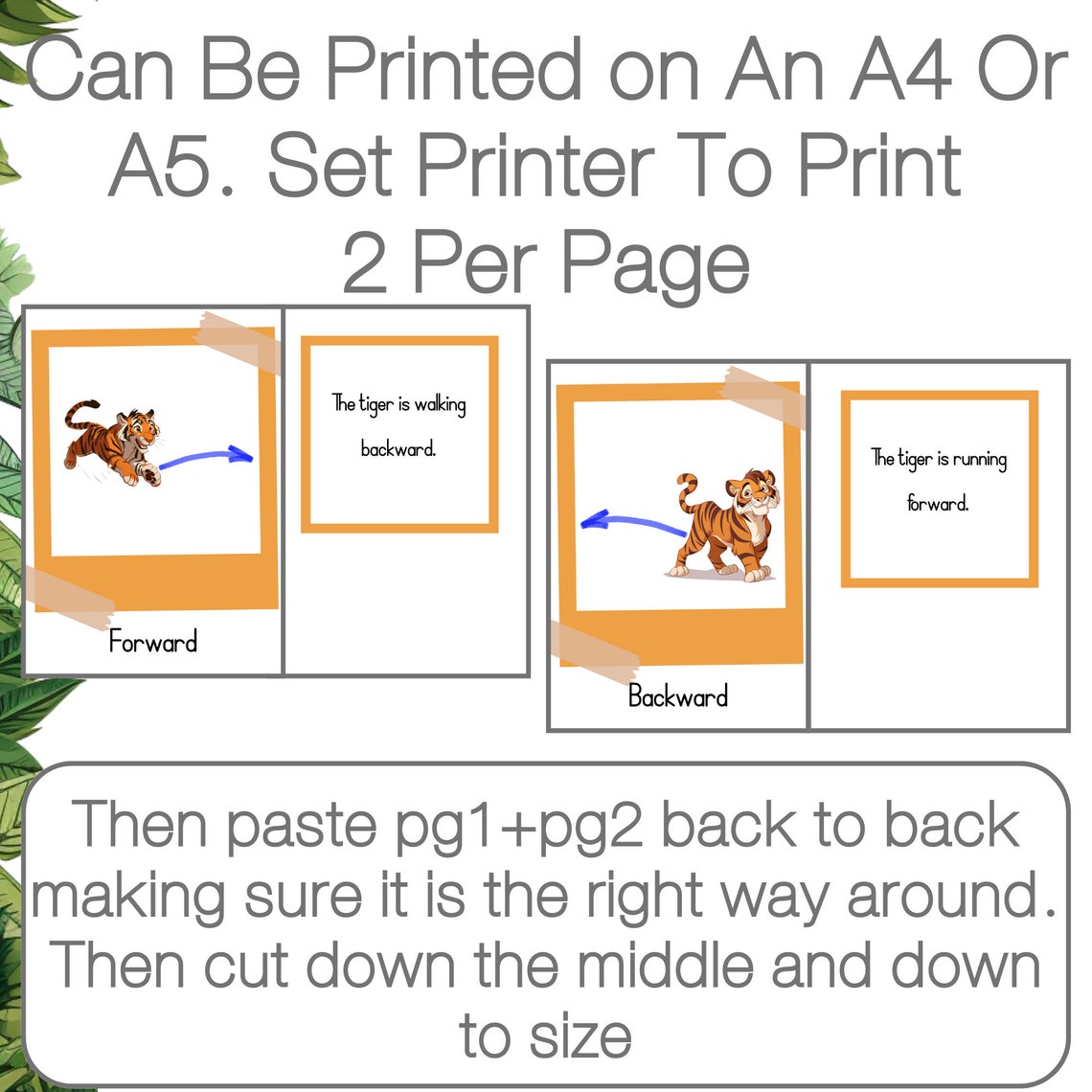 Jungle Classroom Theme | Prepositions | Learning Positions With ...