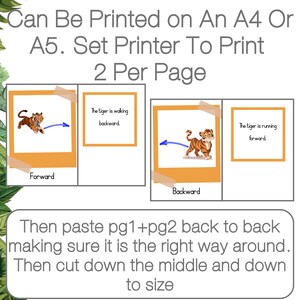 Jungle Classroom Theme | Prepositions | Learning Positions With ...