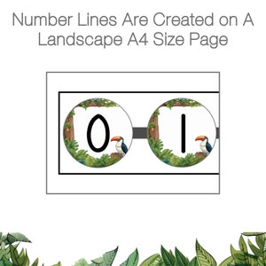 Jungle Classroom Theme | Number Lines | 2 Various Styles of Number ...