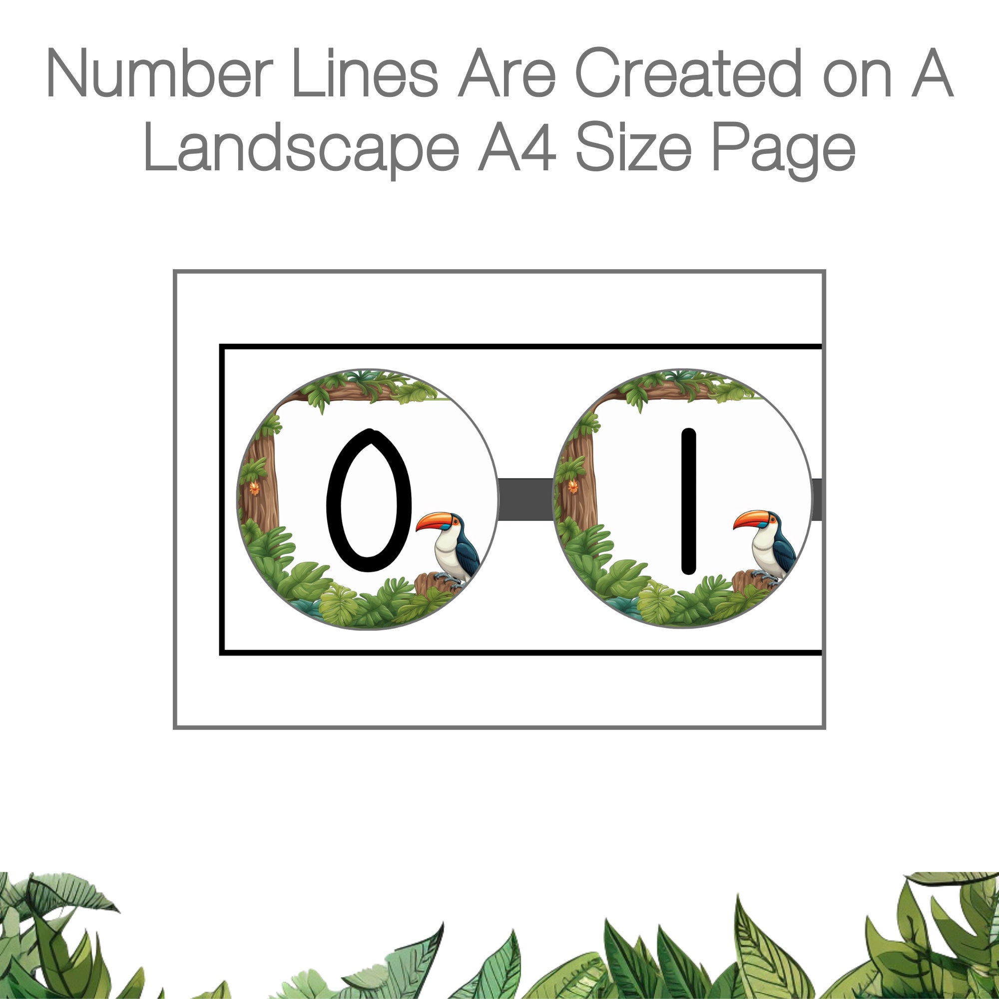Jungle Classroom Theme | Number Lines | 2 Various Styles of Number ...