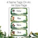 Jungle Theme Classroom Name Tags Printable - Name Tags for Kindergarten ...
