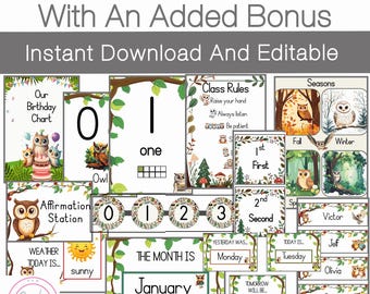 Classroom Decor - Owl Theme - Etsy