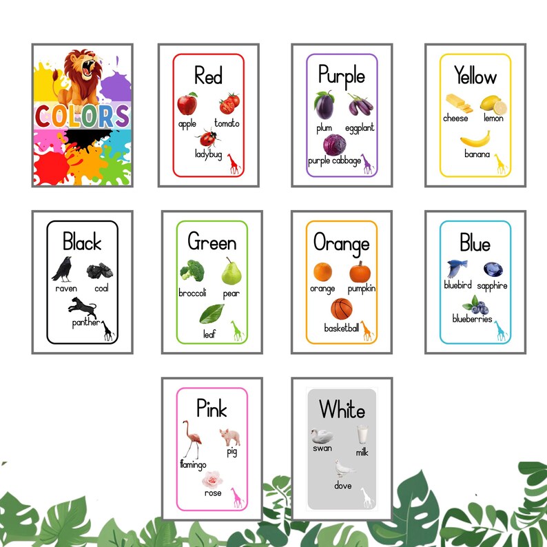 Safari Classroom Theme | Color Flashcards | Color Recognition ...