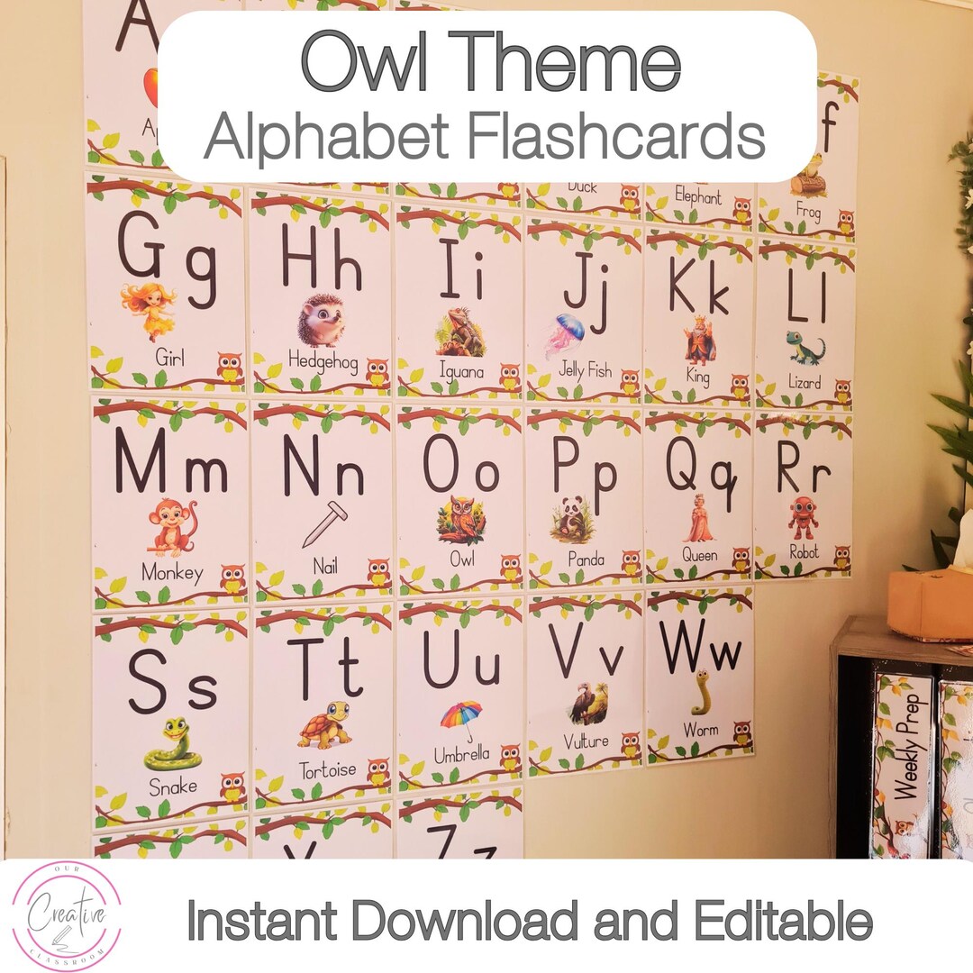Owl Theme Classroom Alphabet Posters | Classroom Decor | Phonics ...